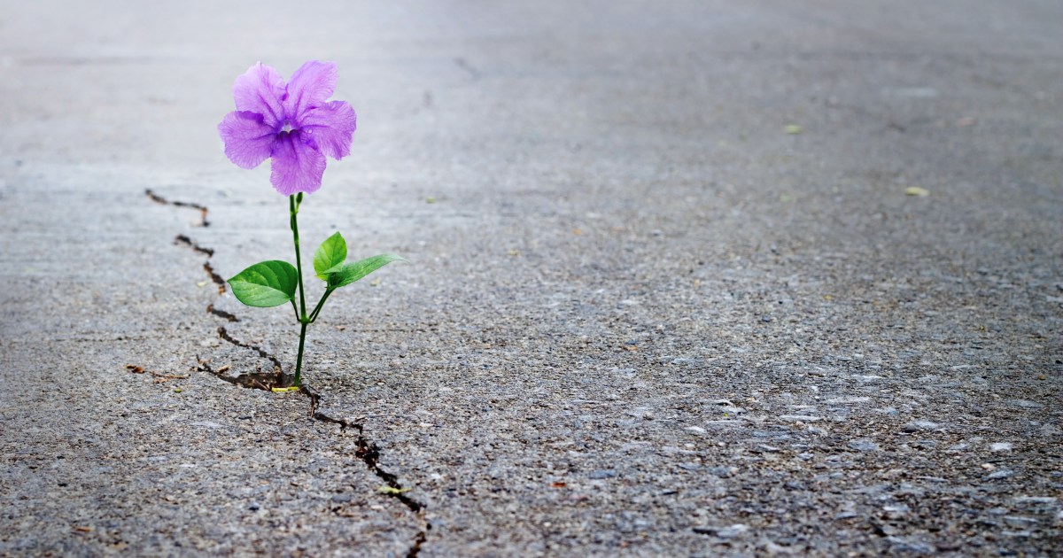 6 Inspiring Bible verses for when you want to start over