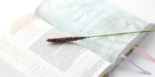 Live Scripture in your daily life with new Women’s Bible, podcast