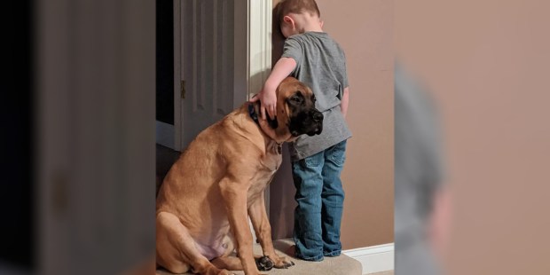 Photo of dog joining 3-year-old in timeout is a lesson for us all