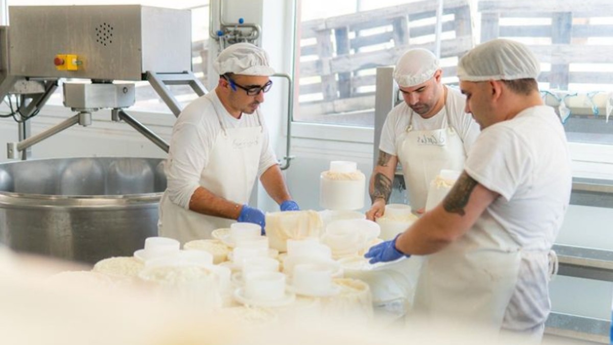 World Cheese Awards give prizes to cheese made by people with disabilities