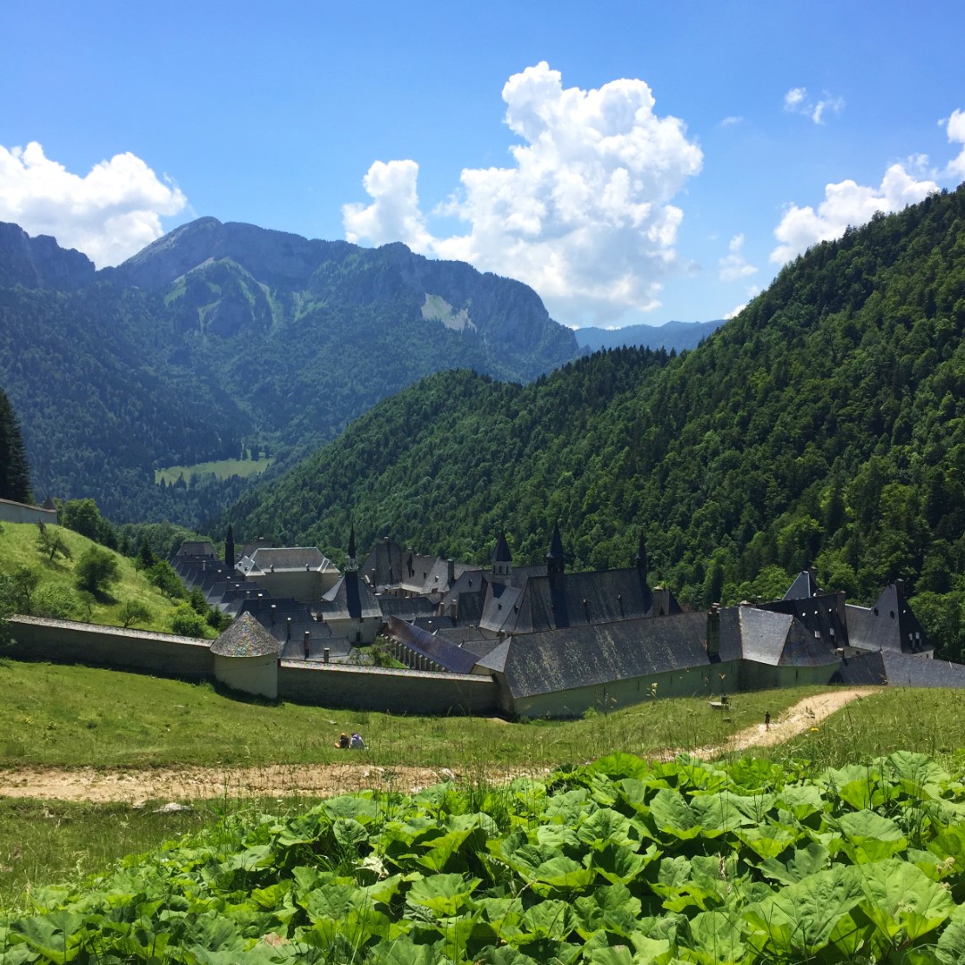 Monks behind Chartreuse will voluntarily limit production to protect ...