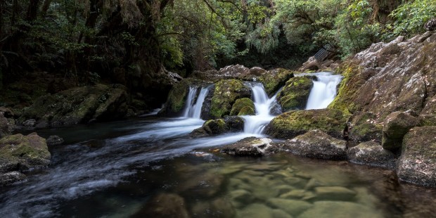 How a priest found a healing thermal pool in New Zealand