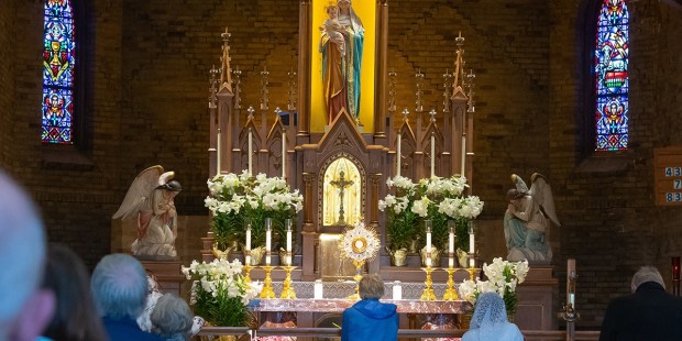 New name and solemnity for famed Wisconsin Marian shrine