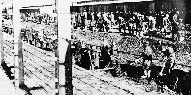 Blessed Piotr Edward Dankowski, priest and martyr in Auschwitz