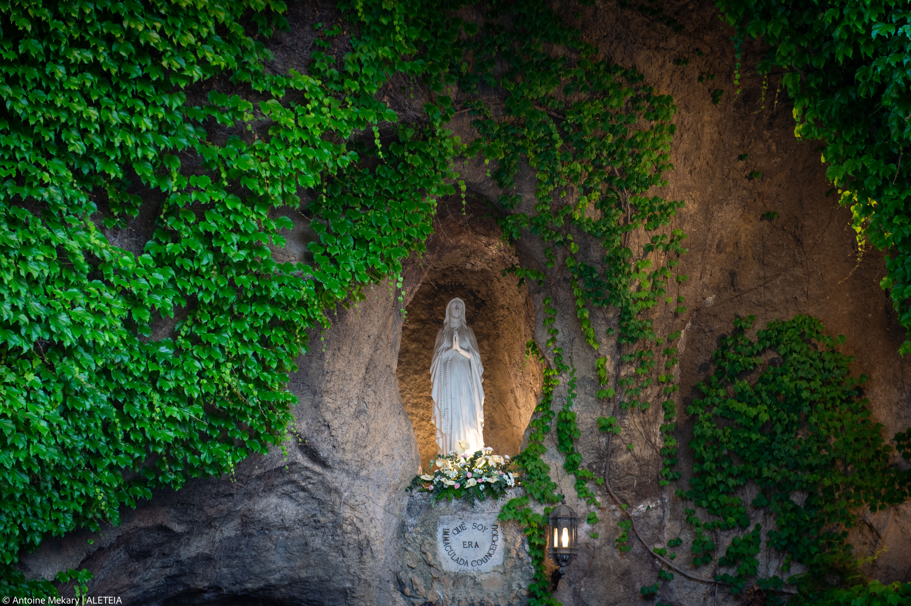 Today: Join Pope Leo to pray Rosary for peace