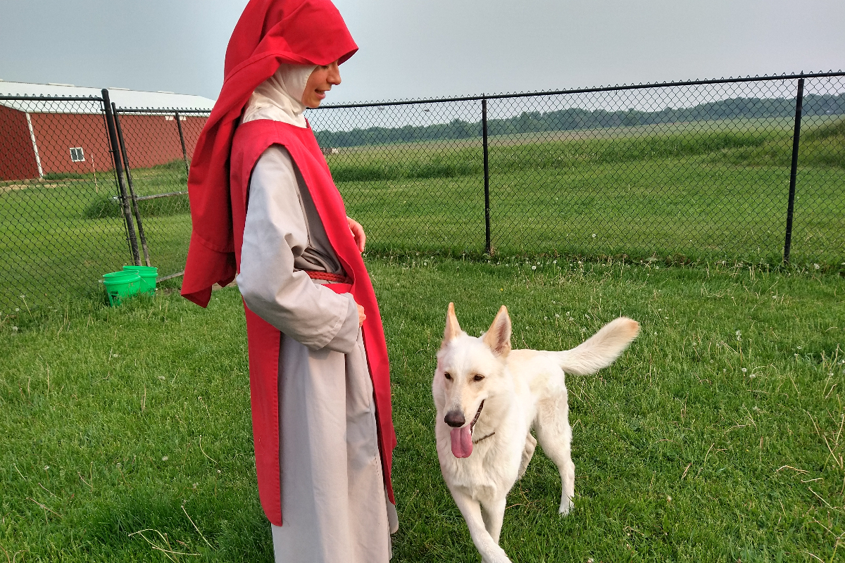 Meet the Wisconsin nuns who keep a barn full of horses