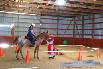 Meet the Wisconsin nuns who keep a barn full of horses