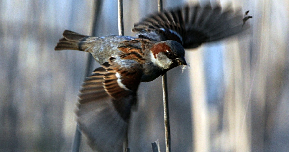 3-Point Mass prep: Do not be afraid of people