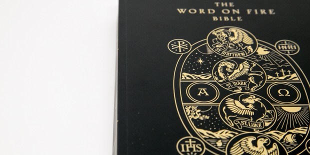 Word On Fire campaign donates over 10,000 Bibles to students