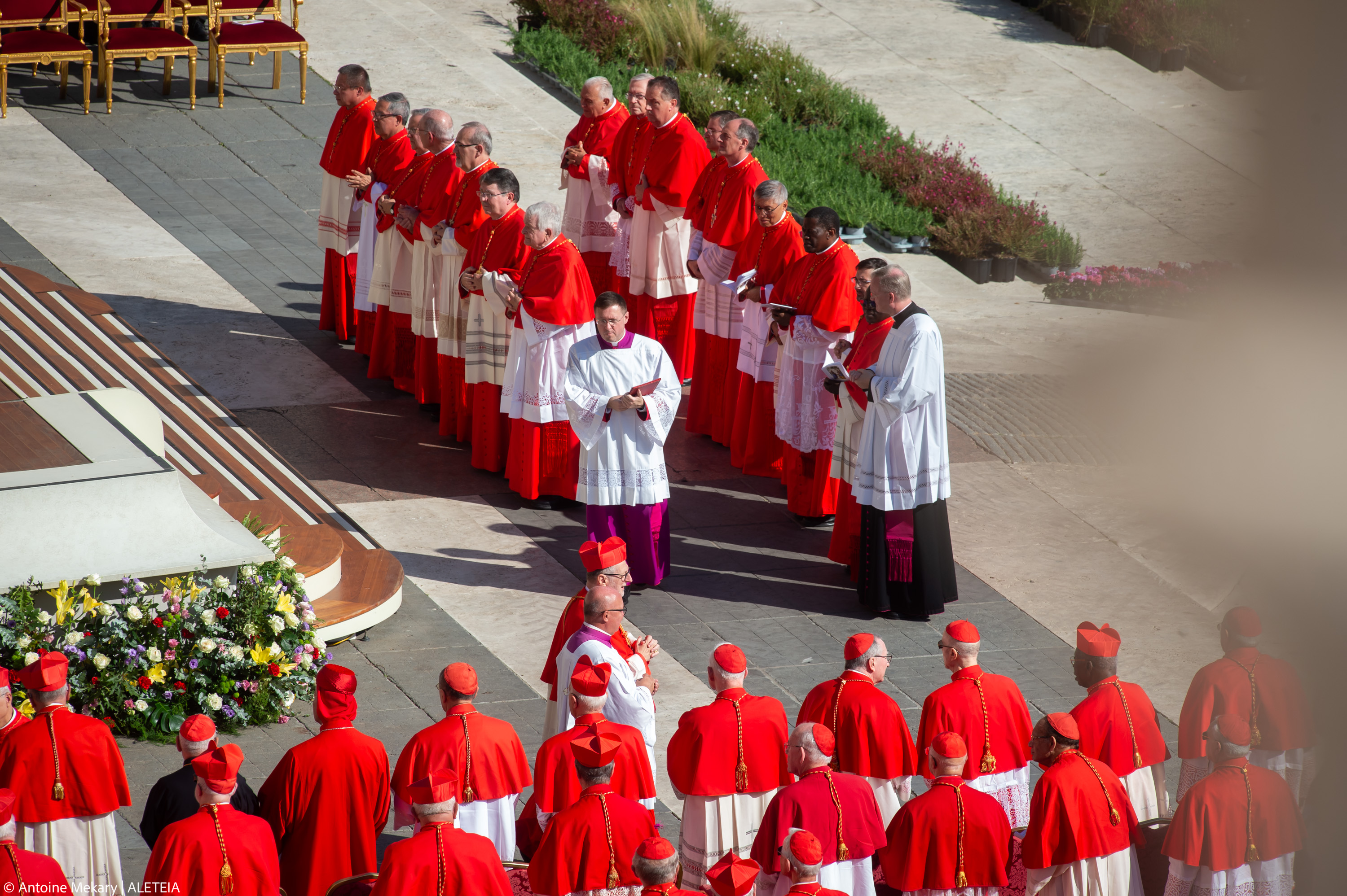 What are the conditions for becoming a cardinal?