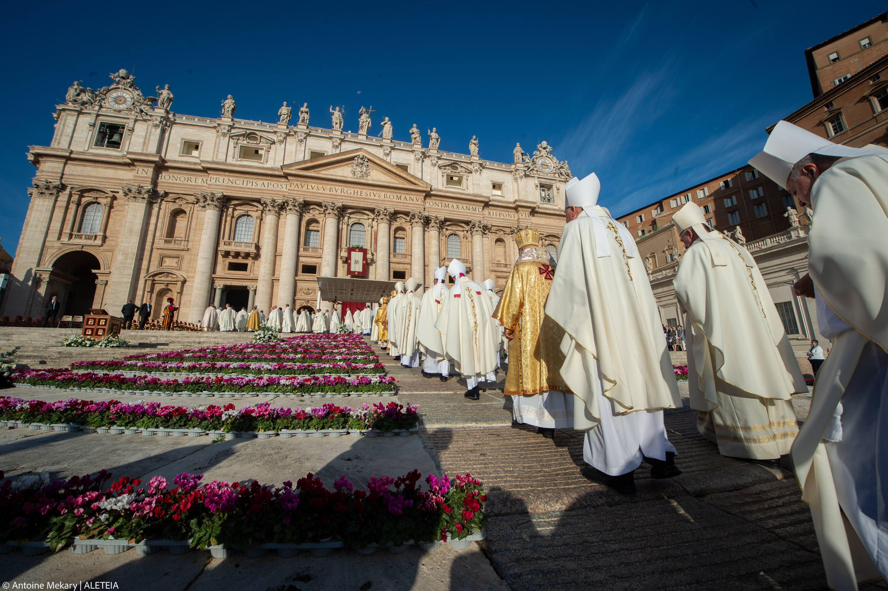 The Synod on the Future of the Church, in numbers