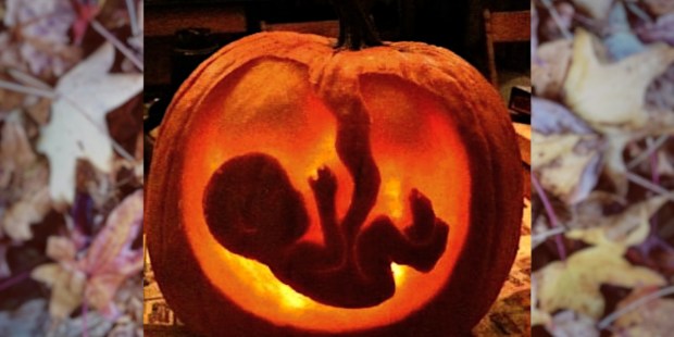 The most beautiful pumpkin carvings you'll see this fall
