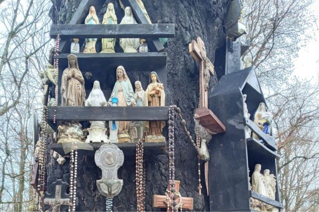 The French devotion of Marian tree shrines