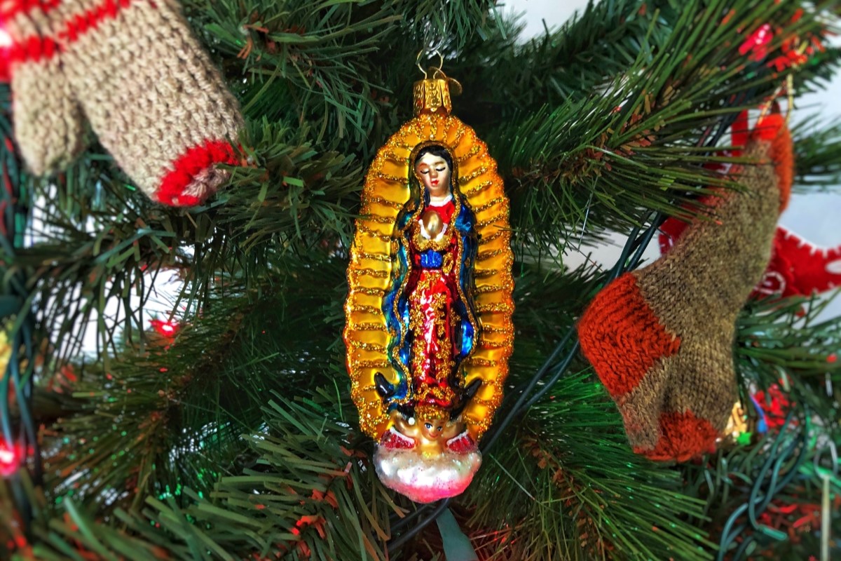 Watch the Vatican Christmas tree rise in 30 seconds (Video)