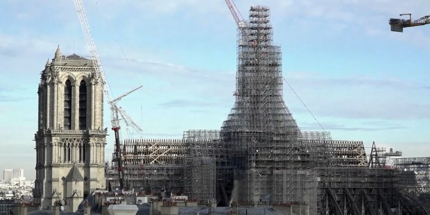 Scaffolding rises over Notre Dame for spire's reconstruction