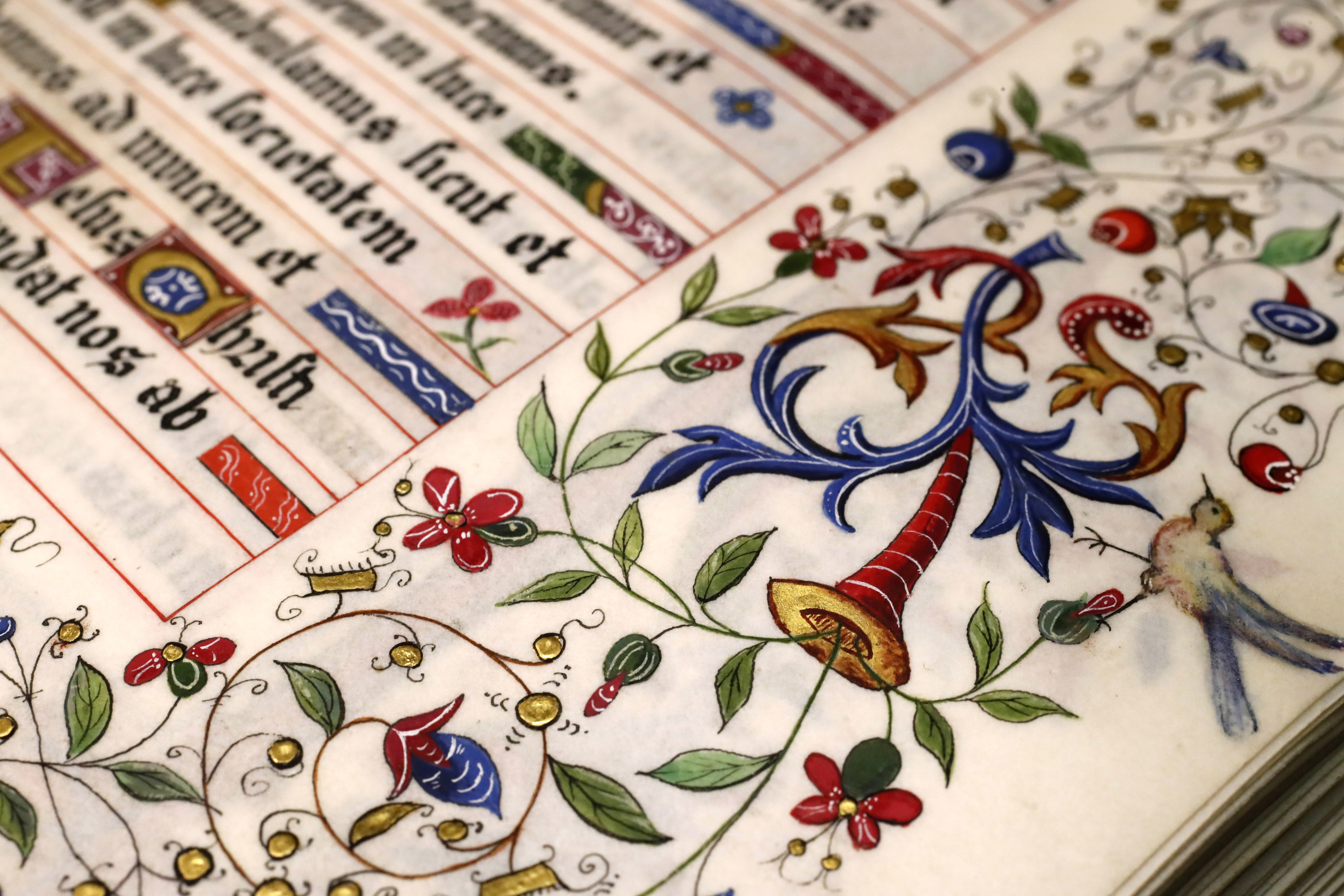 The word "type" has a special meaning in biblical terms