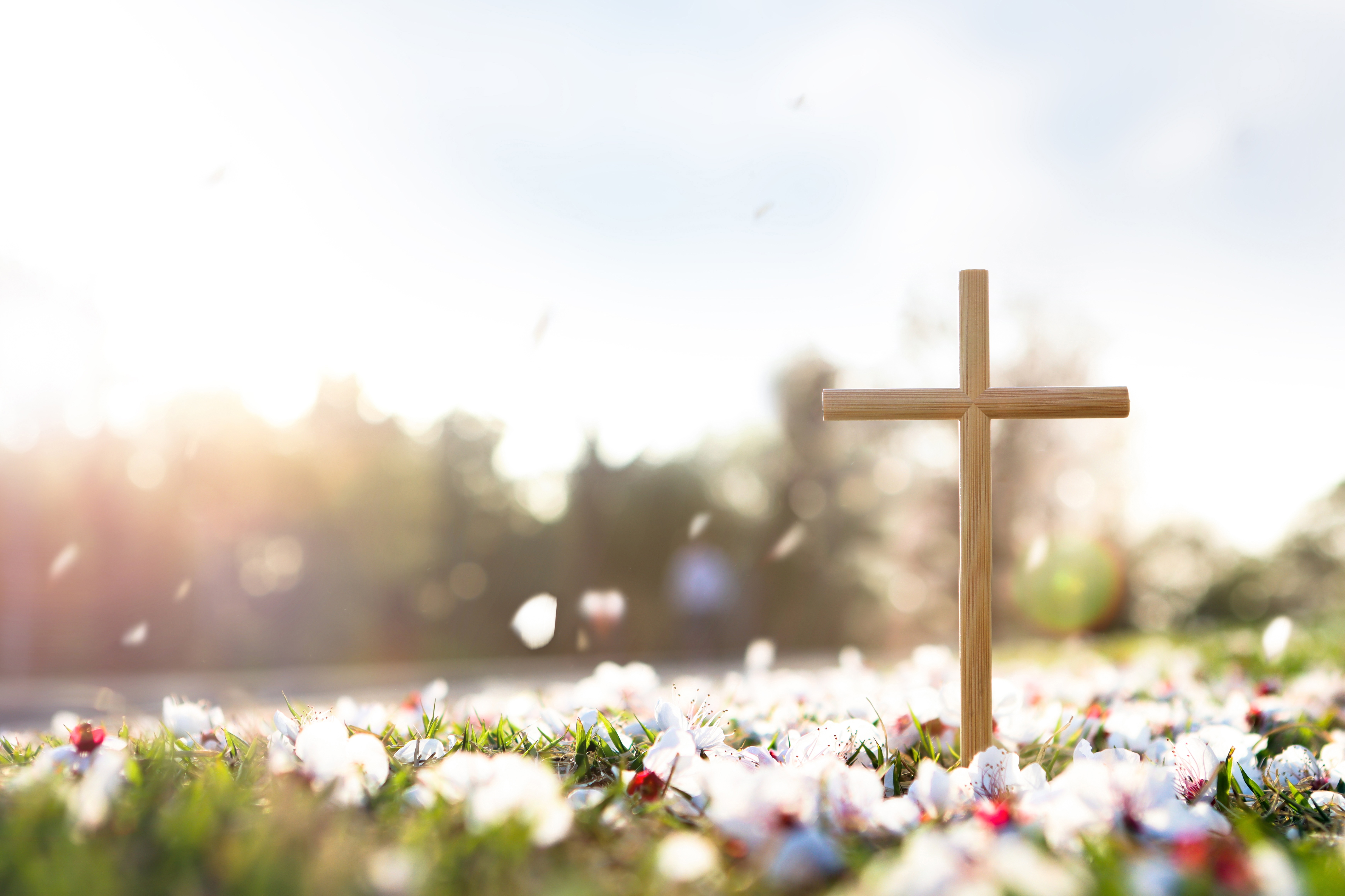 How Jesus is both the way and the destination