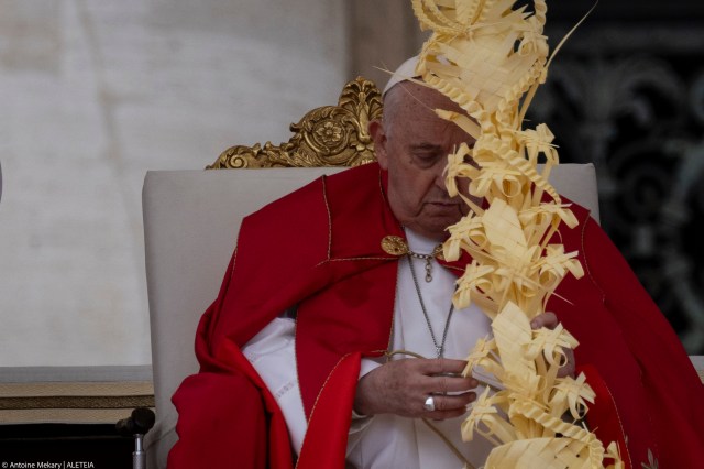 No homily at Pope's Palm Sunday Mass (photos)