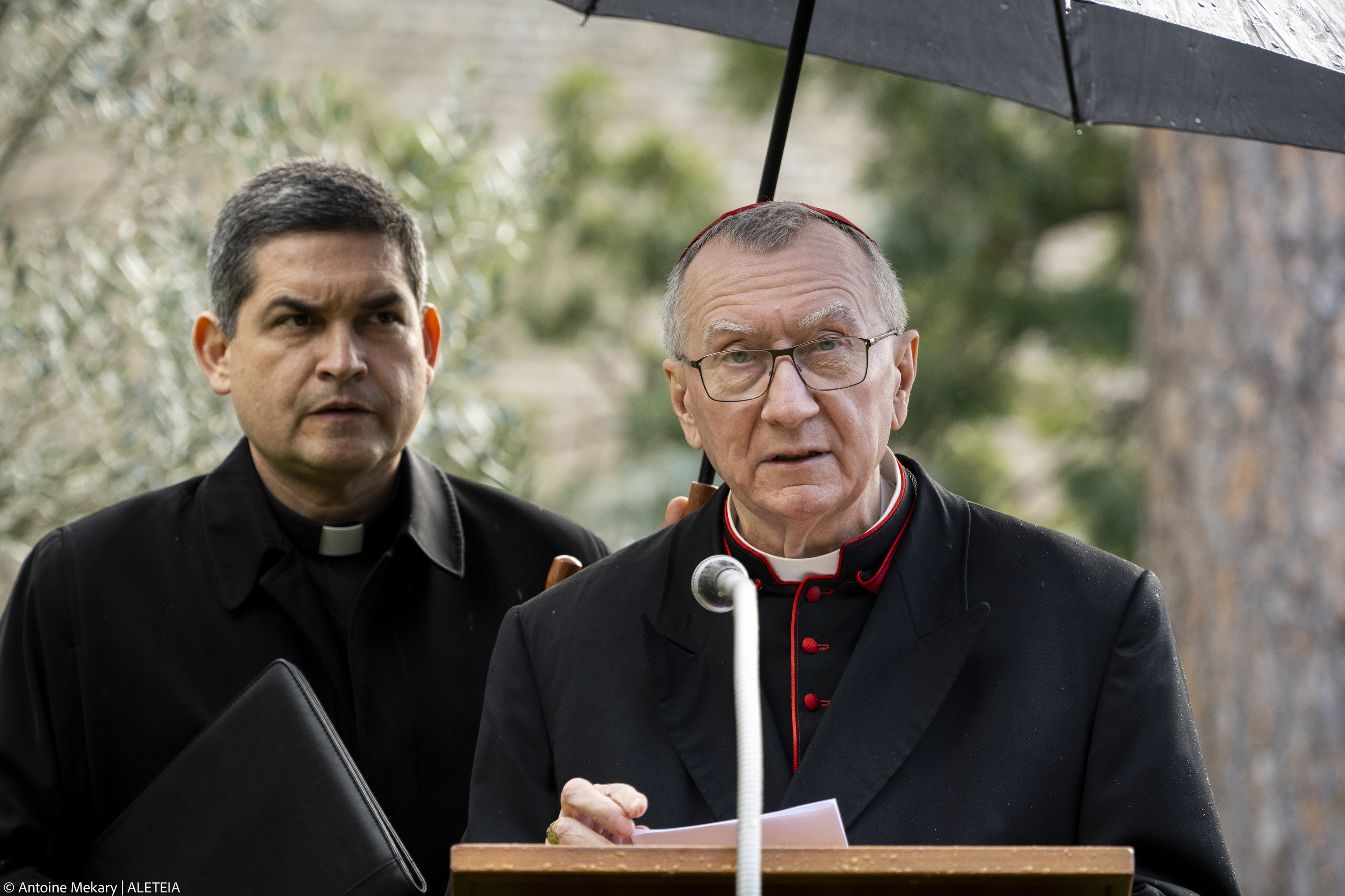 Tree in the Vatican honors the Ulma family's "gift of life"