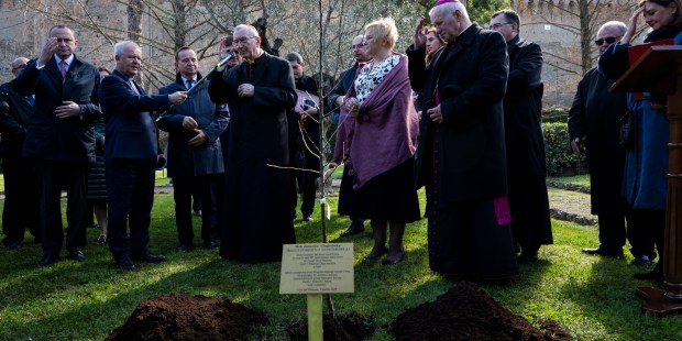 Tree in the Vatican honors the Ulma family's "gift of life"