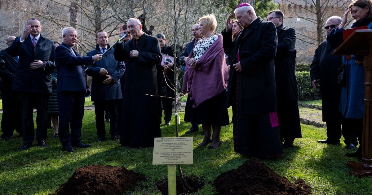 Tree in the Vatican honors the Ulma family's "gift of life"