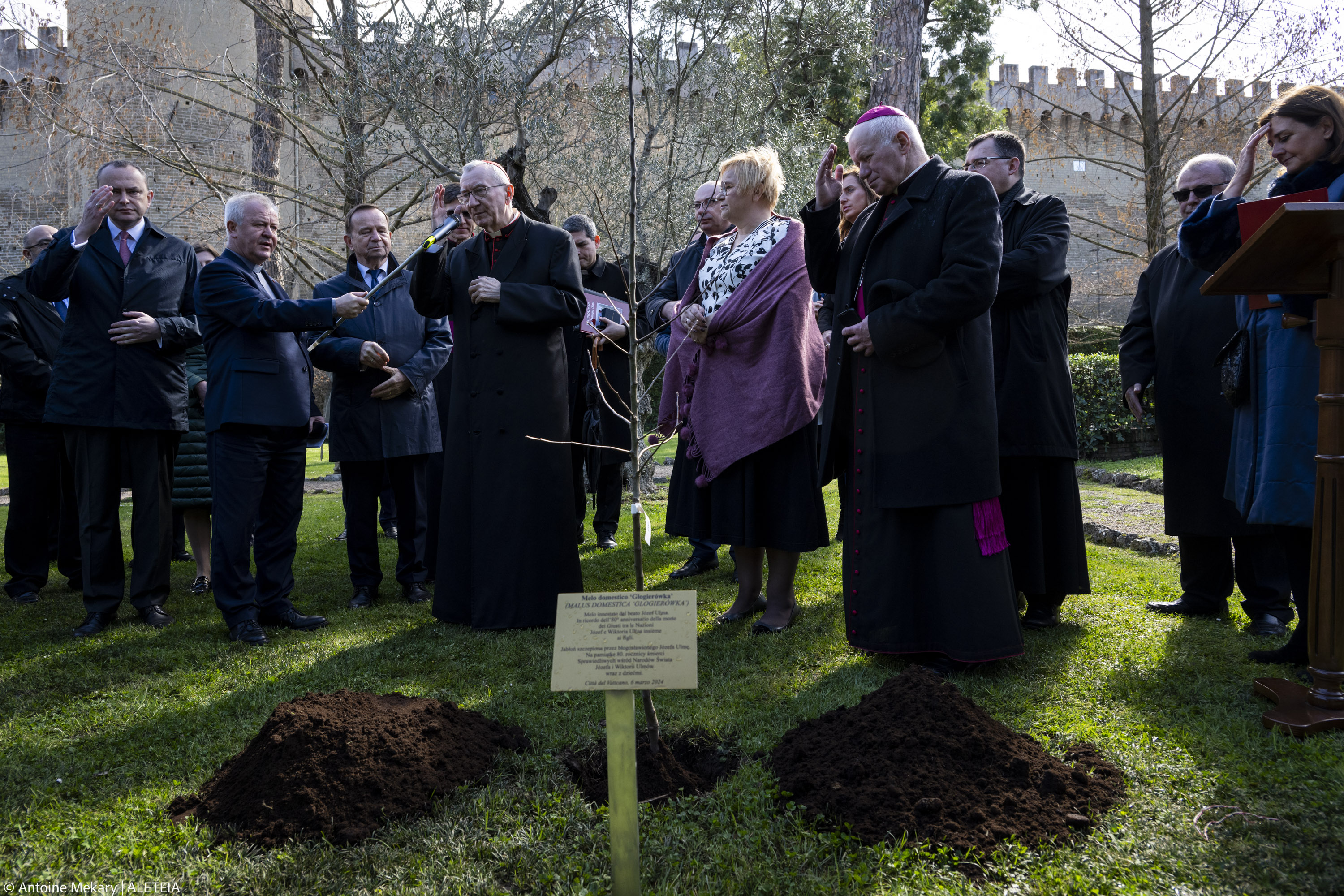 Tree in the Vatican honors the Ulma family's "gift of life"