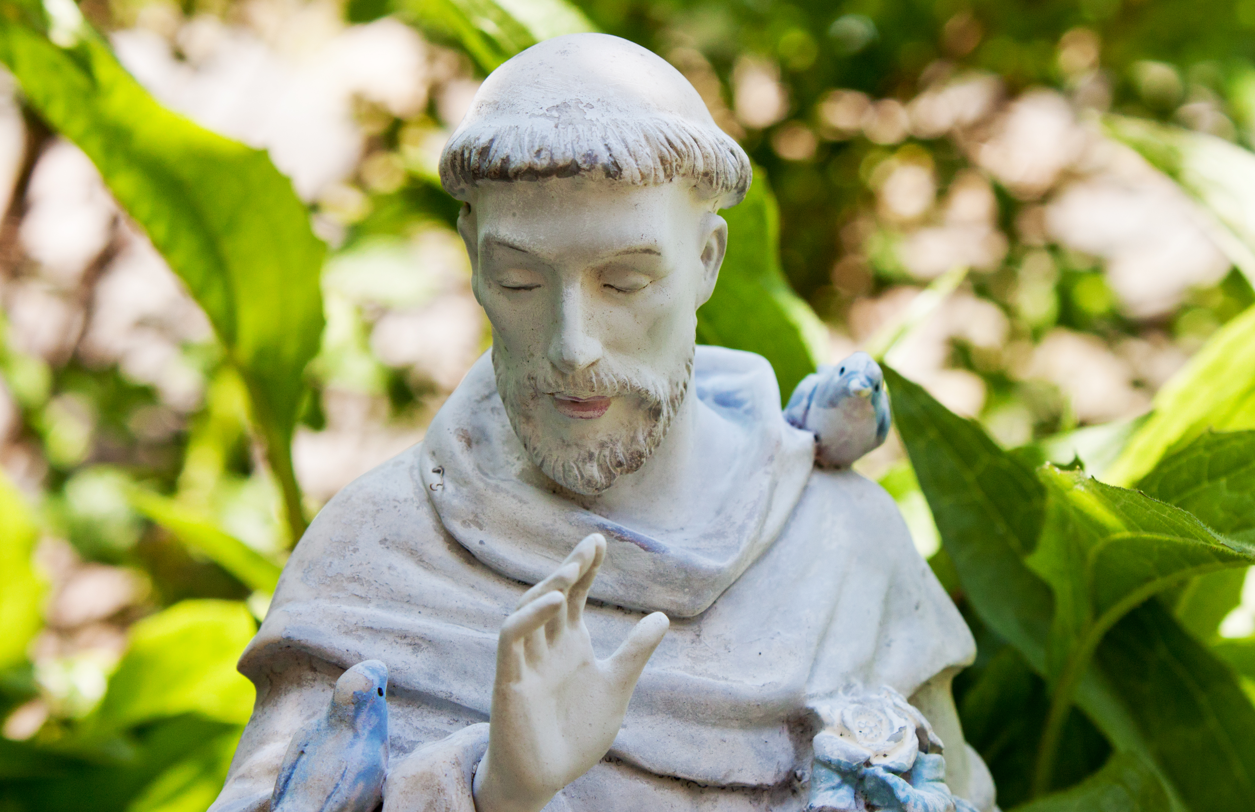 The unusual spiritual bond between saints and birds