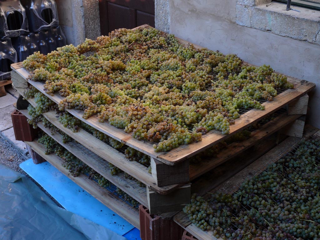 What wine did Jesus and Apostles drink at the Last Supper?