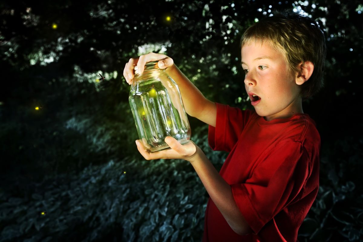 Chasing after "Fireflies in the Garden"