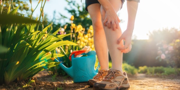 9 Go-to saints to help with common summer problems