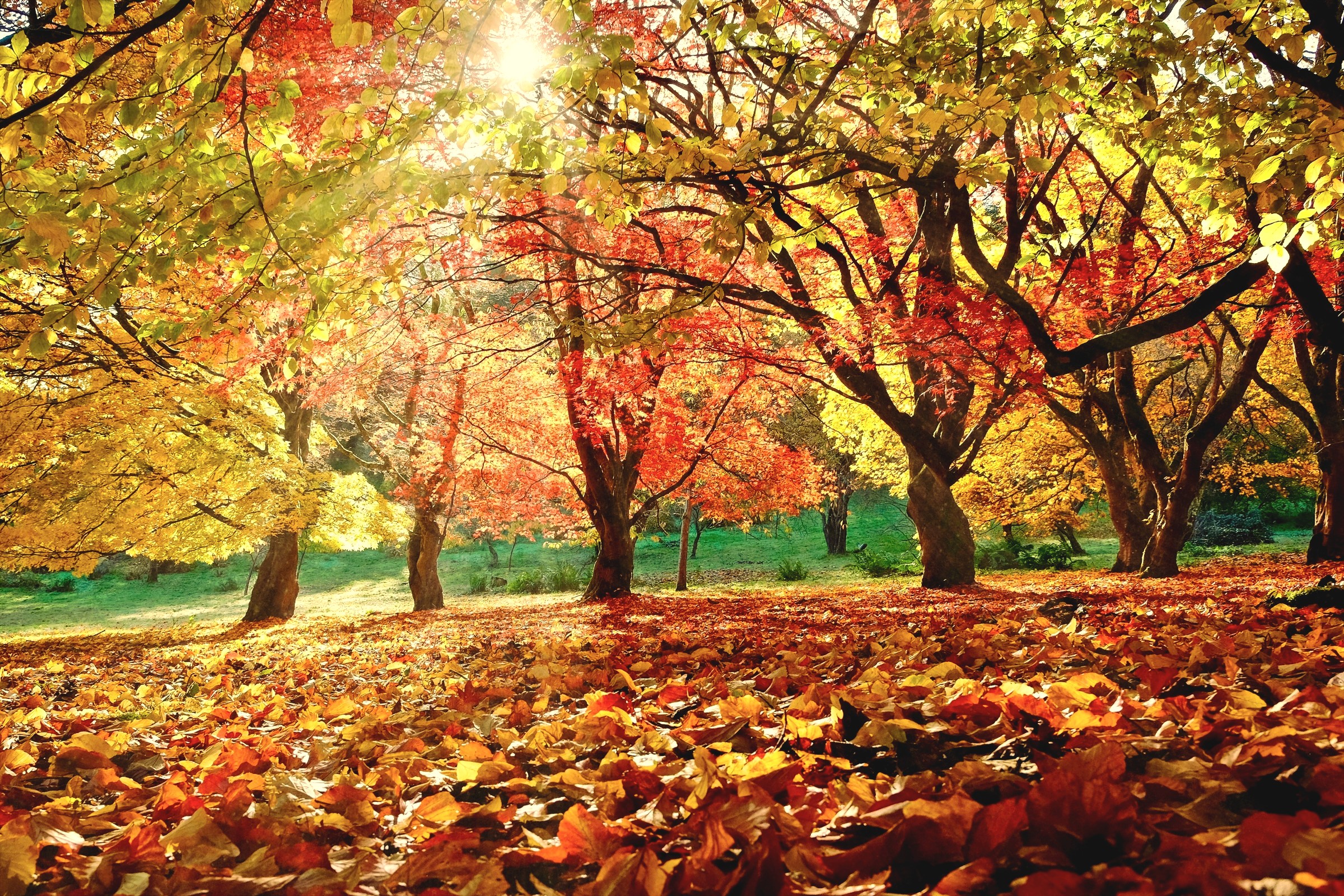 You'll love this extraordinary poem about autumn
