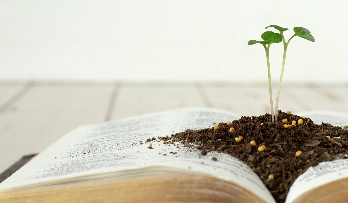 How scientists revived a long-lost biblical tree