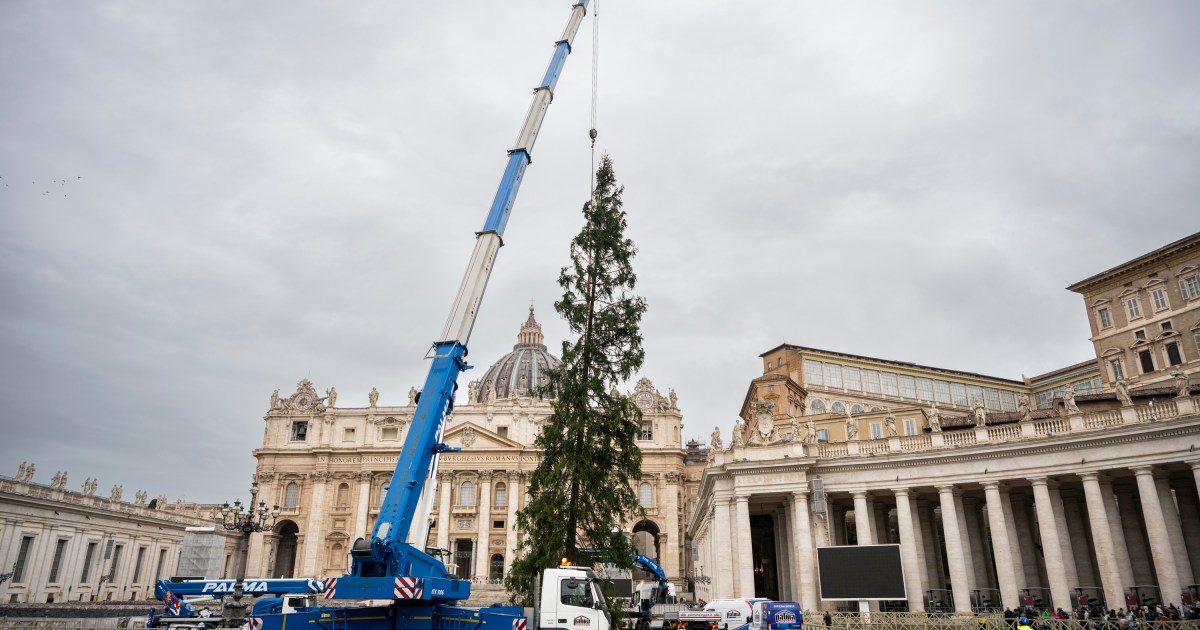 Watch the Vatican Christmas tree rise in 30 seconds (Video)