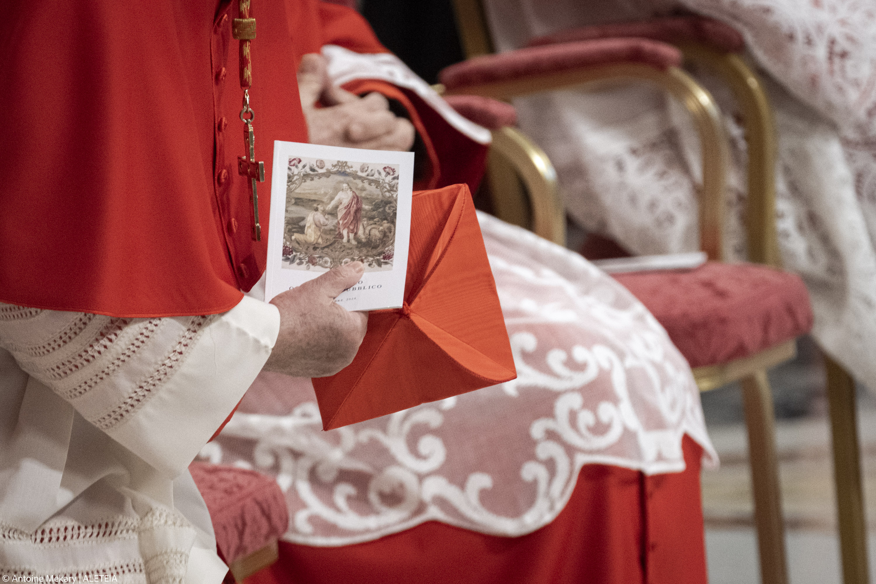 With new cardinals, Pope has bruise from fall