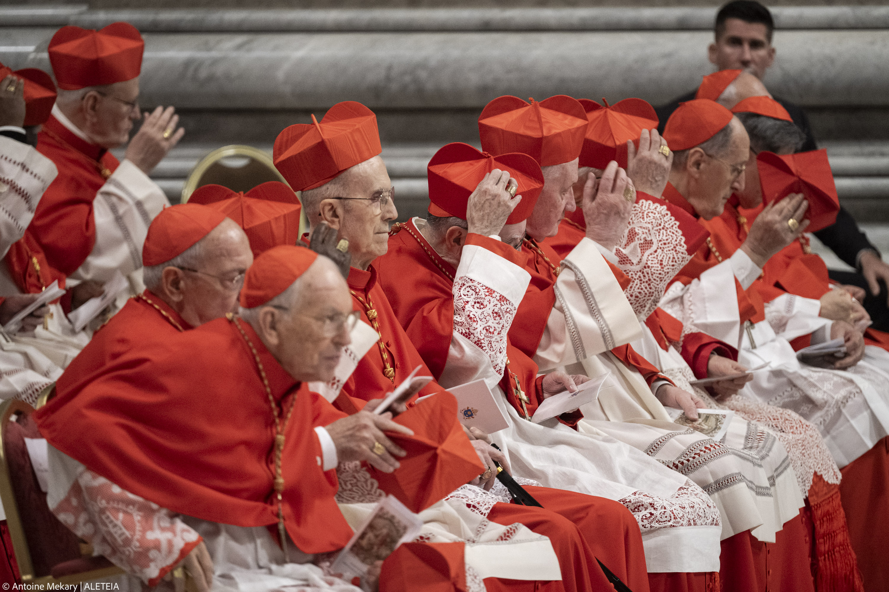 Cardinals in Rome urge the faithful to pray more for peace