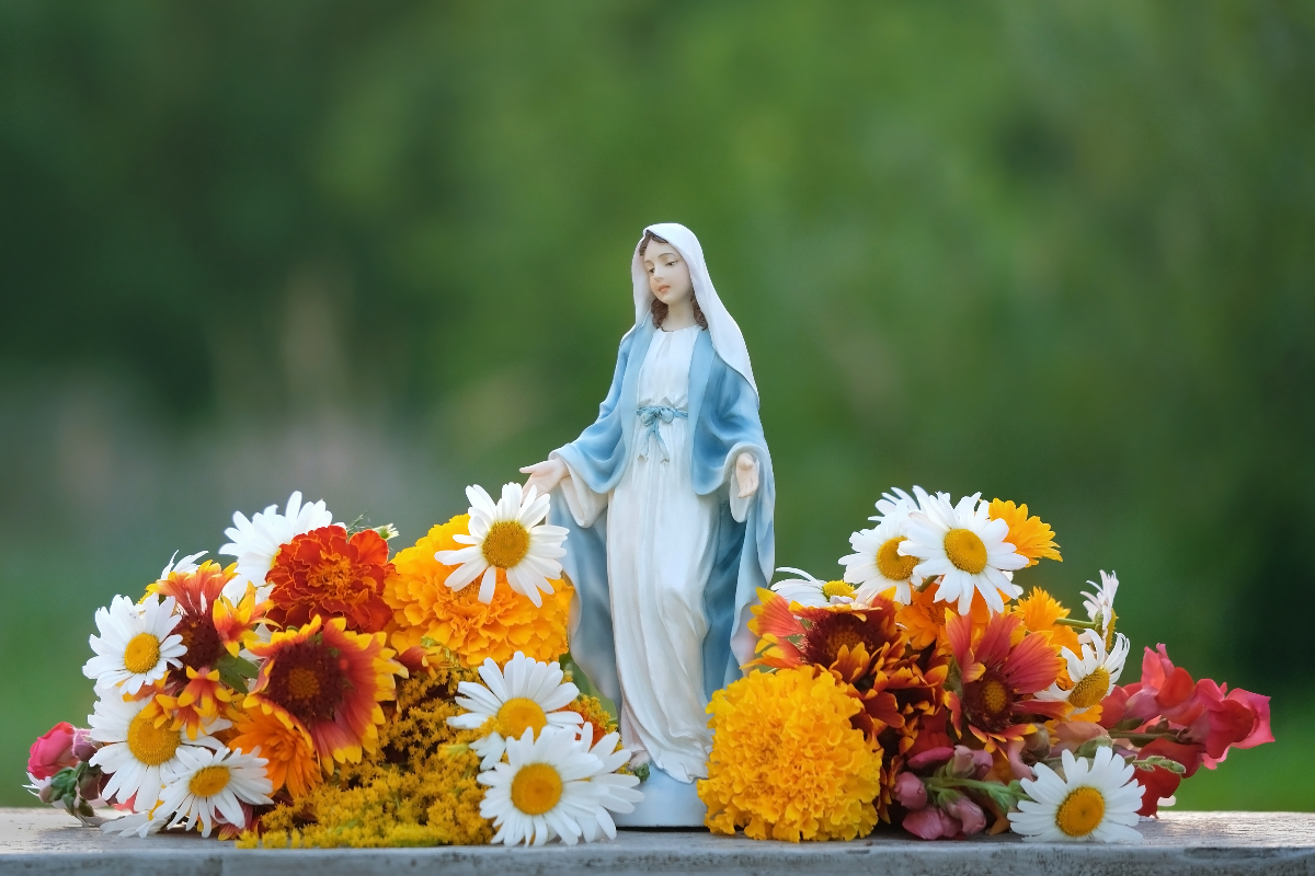5 Easy to grow flowers to grace your Mary garden this spring