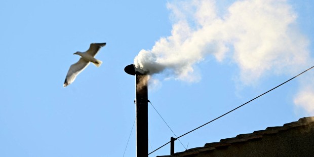 The important role of the "Sistine Seagull"