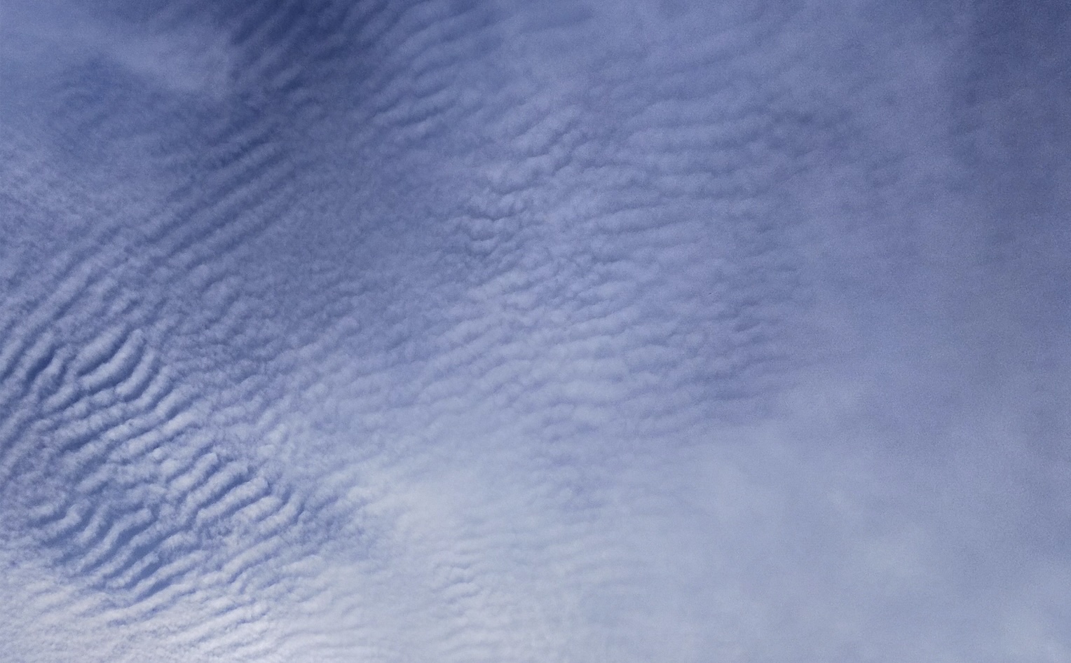 God’s fingerprints: The Trinity is everywhere