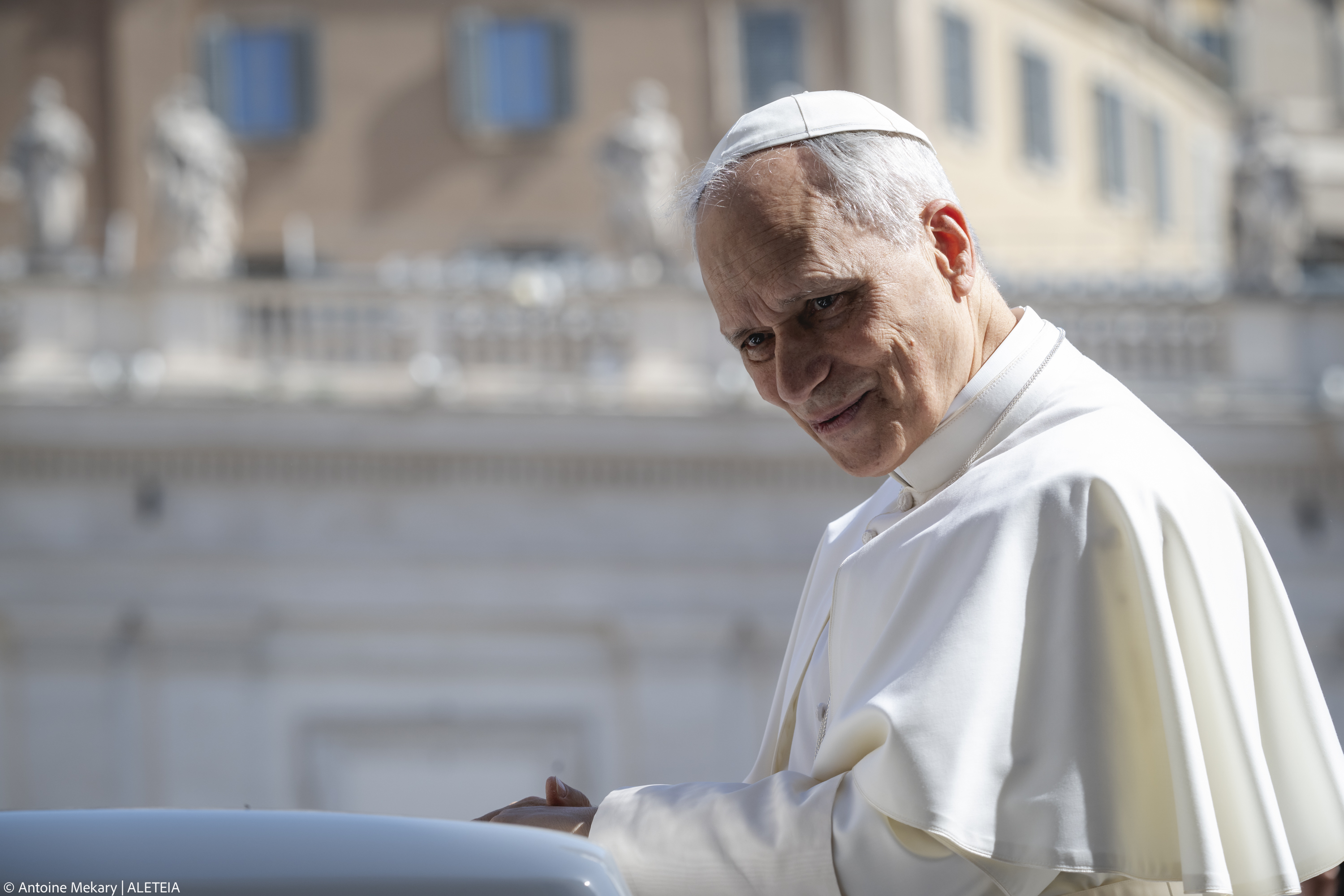 Why is a wild goose a symbol of the Holy Spirit?