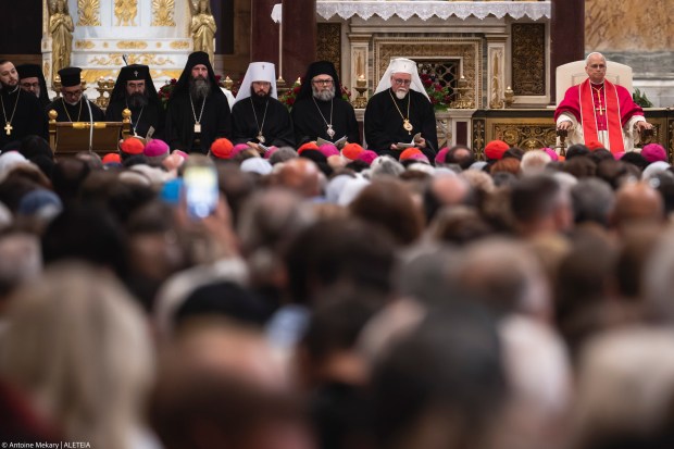 Sr. Stang, Fr. Ganni among martyrs mentioned by Pope Leo