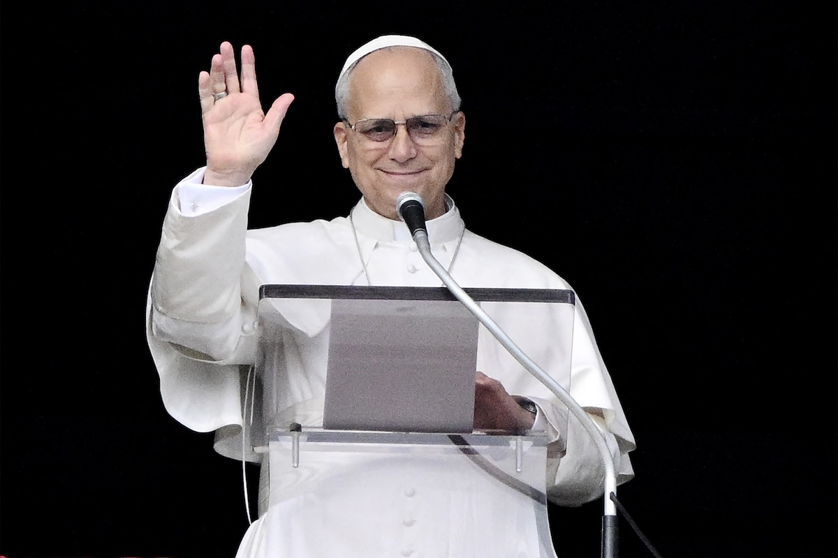 It makes sense to celebrate despite everything: Pope